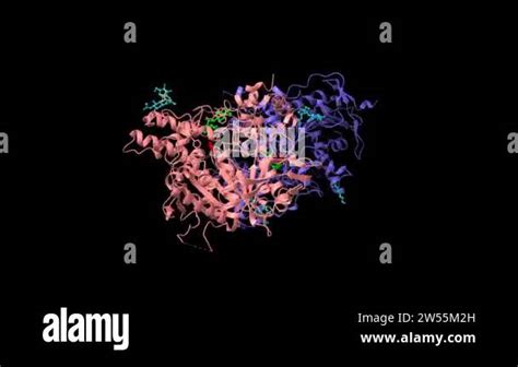 Structure Of Human Acetylcholinesterase In Complex With Poison Elt Red