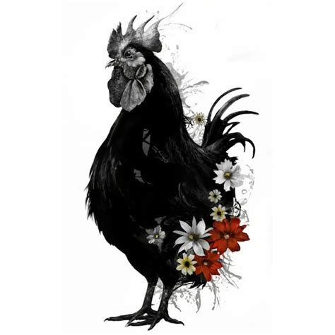 7000 Rooster Symbolism Art Pictures