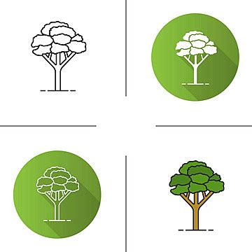 Tree Plant Filled Outline Icon Vector Drawing Natural Plant Vector Drawing Natural Plant PNG