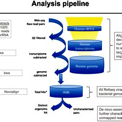 Flow Chart Of Subtraction Methodology