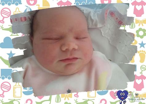 Clara Wolf S Instagram Twitter Facebook On IDCrawl