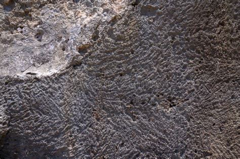 Intricate Textures On Ancient Stone Surface Reveal A History Of Geological Artistry And Natural
