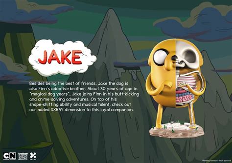 Xxray Adventure Time By Jason Freeny X Mighty Jaxx Available Now