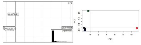 Principal Component Analysis Pca Of The Snp Data Extracted From