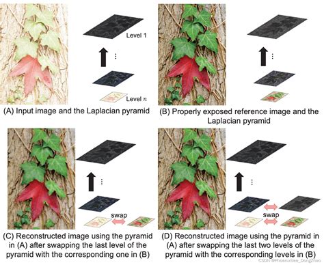 用一个网络实现曝光不足和曝光过度的曝光修正：learning multi scale photo exposure correction csdn博客