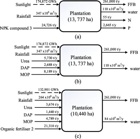 Ffb Yield With Respect To Rainfall Eight Months Later Download Scientific Diagram