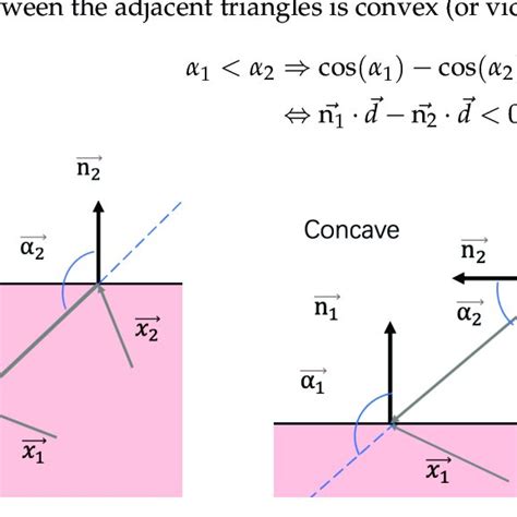 The Differences Between Concave And Convex Connection Download Scientific Diagram