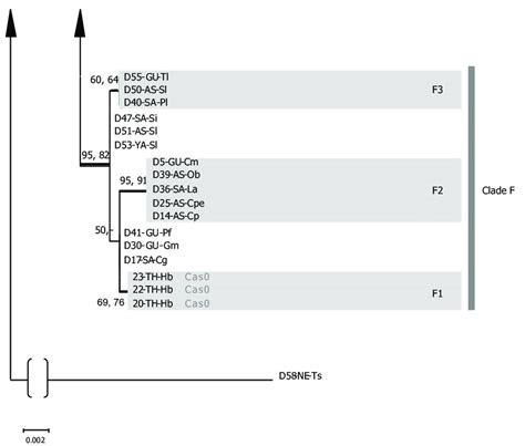 Cont Integration Of 26 Corynespora Cassiicola Isolates From