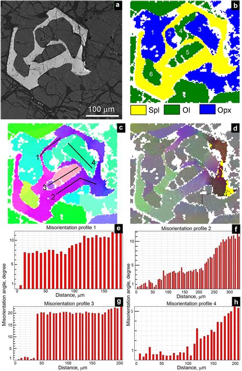 Microstructure Of A Skeletal Cr Spinel Grain Associated With Olivine