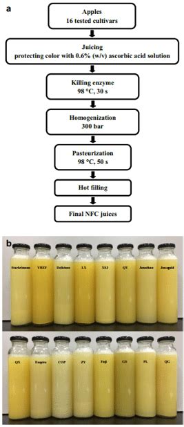 Flow Diagram Of Nfc Apple Juice Production A And Final Apple Juices