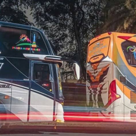 Dedi Setiawan Syarif Hidayatullah State Islamic University Jakarta