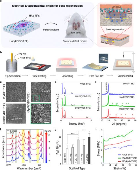 Design And Characterization Of Piezoelectrically And Topographically Download Scientific