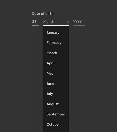 User Interface Components Input Fields User Interface Interface