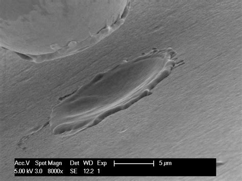 The Sem Image Of Chromium Sample At The Fourth Position After Discharge Download Scientific