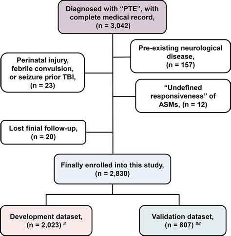 Case Screening And Datasets Partitioning Flow Diagram Pte Download Scientific Diagram