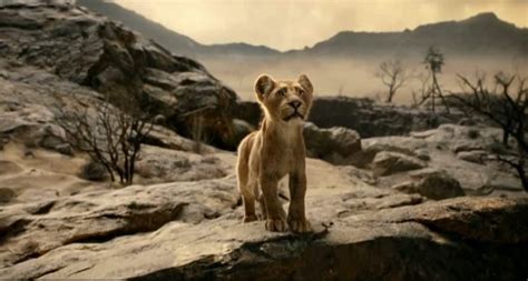 First Look At Young Mufasa In The Lion King Prequel Movie Chip And