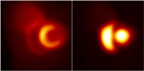 Sample Noise Free Projections Of Ncat Phantom Simulating Download Scientific Diagram