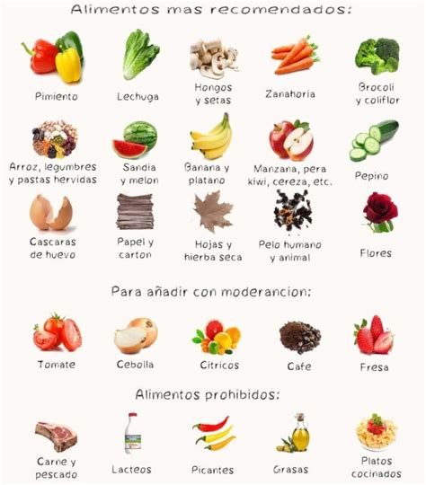 Todo lo que necesitas saber sobre la alimentación de las lombrices
