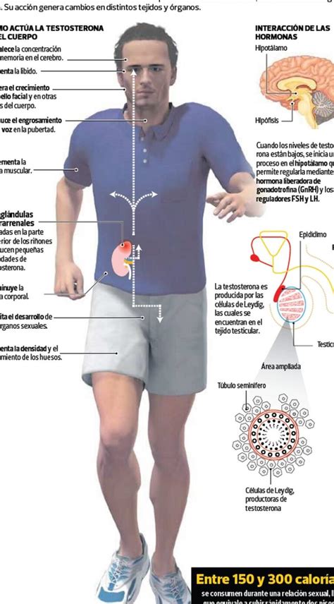 Qu Pasa Si Me Masturbo Antes De Entrenar Squad Fitness