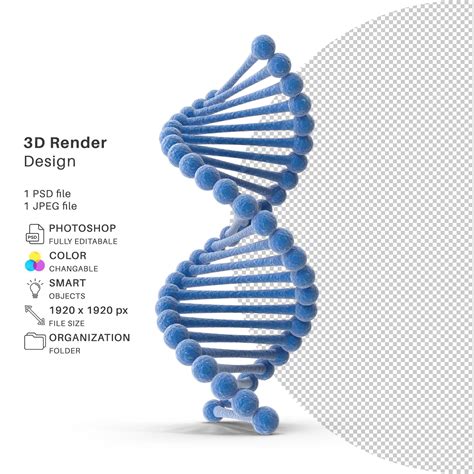 premium psd dna 3d modeling psd file realistic dna