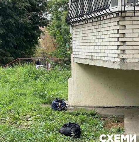 Купи грошей повсюди у керівниці обласної МСЕК на Хмельниччині виявили 6 млн доларів ФОТО ВІДЕО