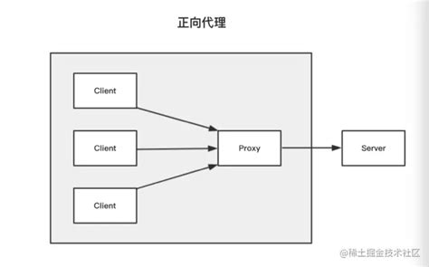 连前端都看得懂的《nginx 入门指南》文本内容较多（原理 实践），讲解较为详细，大约10分钟才能阅读完。 虽然题目看起 掘金