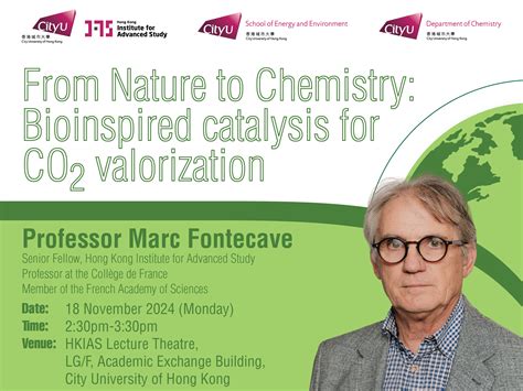 Steps Towards Complex Matter From Supramolecular Chemistry Towards