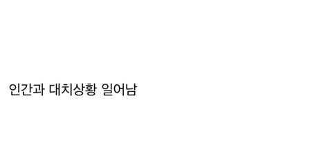 호주 캥거루 수백마리 골프장 습격 유머 움짤 이슈 에펨코리아