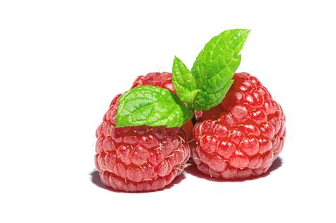 흰색 배경에 고립 된 최고의 매크로 클로즈업에 민트 잎의 무늬와 딸기 0명에 대한 스톡 사진 및 기타 이미지 0명 3가지 개체 개체 그룹 Istock