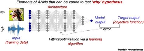 using artificial neural networks to ask ‘why questions of minds and
