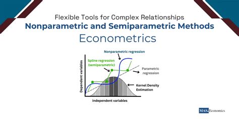 Nonparametric And Semiparametric Methods Flexible Tools For Complex Relationships Maseconomics