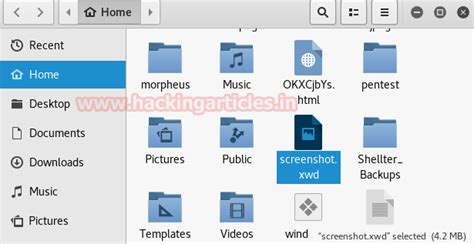 Penetration Testing On X11 Server