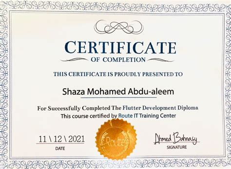 Flutter Dart Mobileappdevelopment Mobileapplication Shaza Mohamed