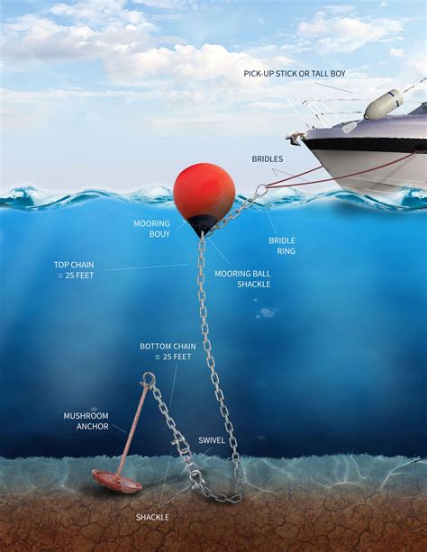 Inday This Cutaway Diagram Demonstrates A Surface To Seabed Mooring System Using A Mooring