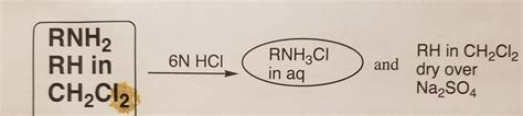 Solved 6n Hci Rnh3ci Rnh Rh In Ch2cl2 In Aq Rh In Ch2cl2