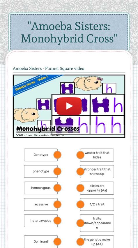 Codon Chart Amoeba Sisters Answer Key At Nicholas Michael Blog