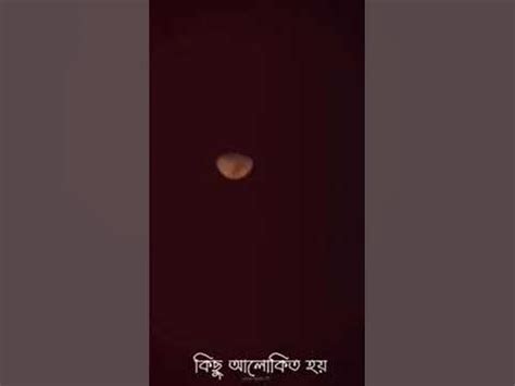অন্ধকার রাত নিশ্চুপ সব জোনাকির দল আজো জেগে আছে তারা হয়তো অপেক্ষায়