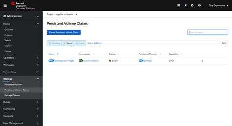 persistent storage nfs flavour tiny explosions