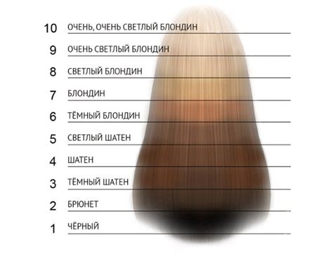 Колористика волос Техника смешивания красок и цветов Правила колорирования Hair Color Wheel