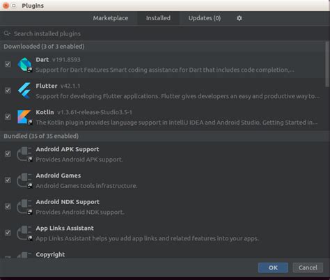 The Command Flutter Doctor Cannot Locate Flutter And Dart Plugins