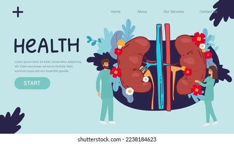 Female Menstrual Cycle Landing Page Female Stock Vector Royalty Free Shutterstock