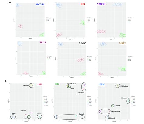 A Umap Plots Showing A Very Clear Separation Between The Ev Subtypes