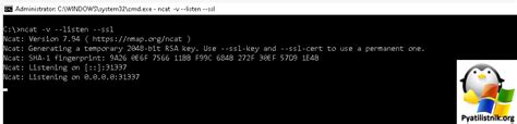 Установка Netcat в Windows и Linux Настройка серверов Windows и Linux