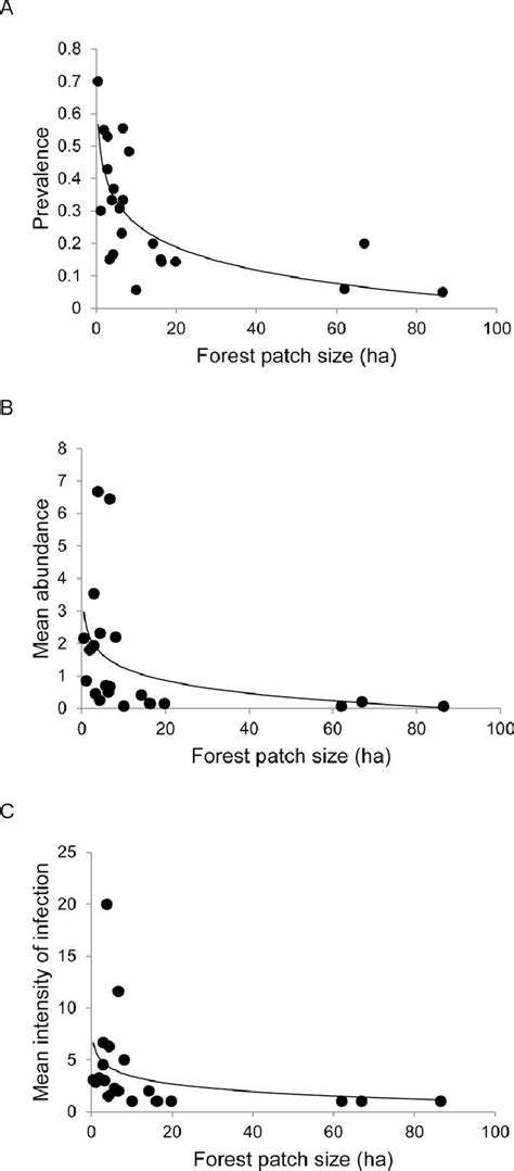 Linear Regression Plots Showing The Relationship Between Forest Patch Download Scientific