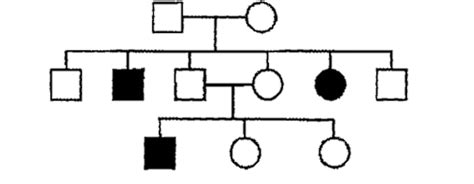 Simple Pedigree Chart