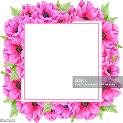 녹색 잎이 있는 손으로 그린 수채화 분홍색 말미잘 꽃 화환 흰색 배경에 격리 스크랩북 엽서 배너 라벨 0명에 대한 스톡 벡터