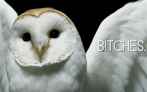 Inappropriate Wallpapers Imgur WallpaperSafari