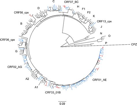Maximum Likelihood Phylogenetic Tree Of Hiv 1 Non B Subtype Pol