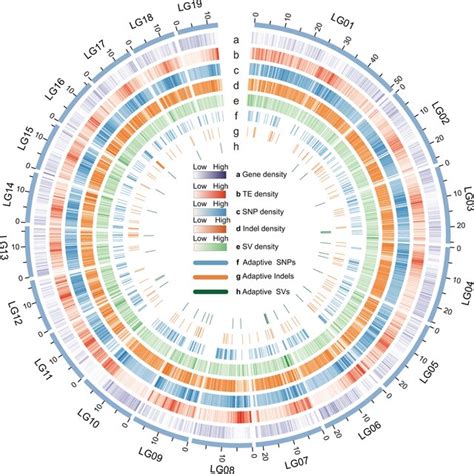 Pdf Genomic Insights Into Local Adaptation And Future Climate Induced