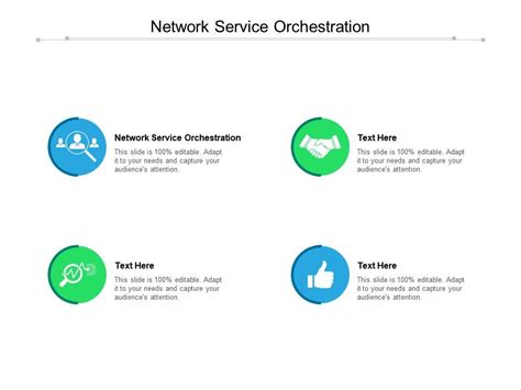 Network Service Orchestration Ppt Powerpoint Presentation Summary Samples Cpb Presentation